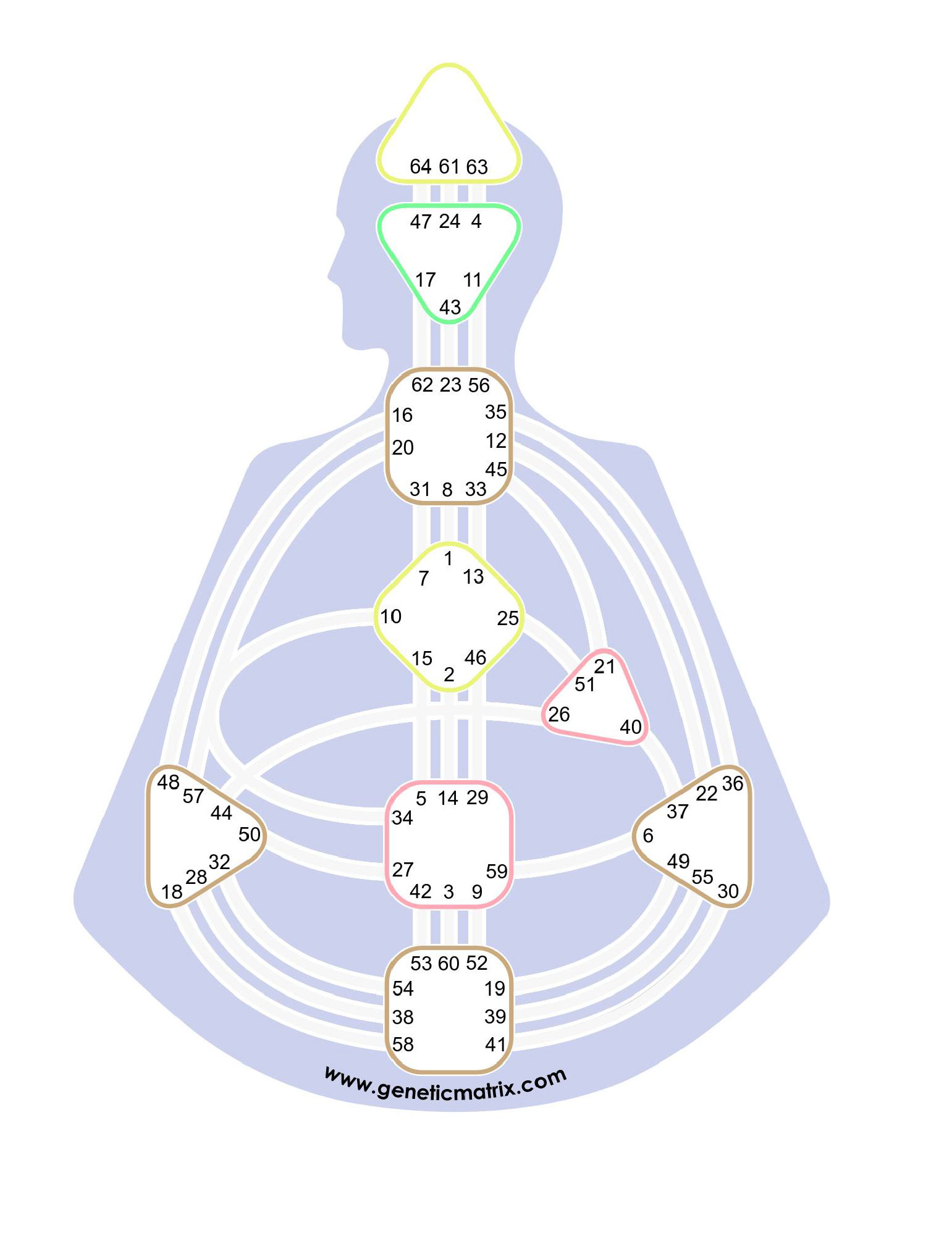 Expressive Founders - Your Unique Human Design
